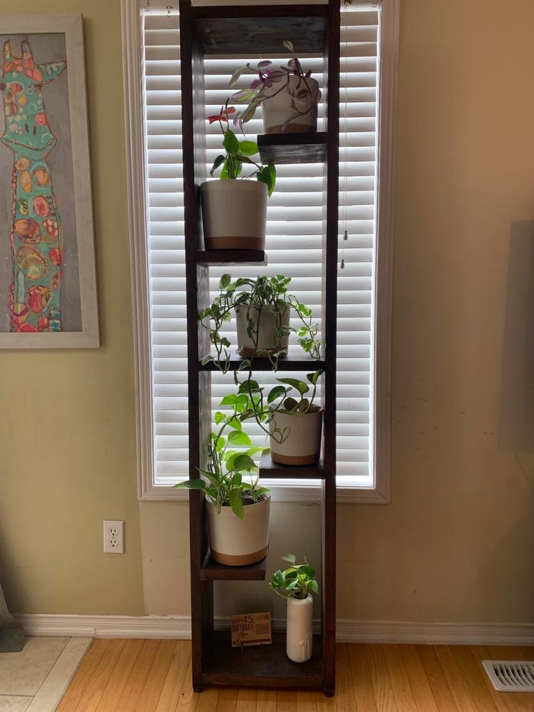 Wood Plant Display Stand – CE Marketing Solutions Inc.